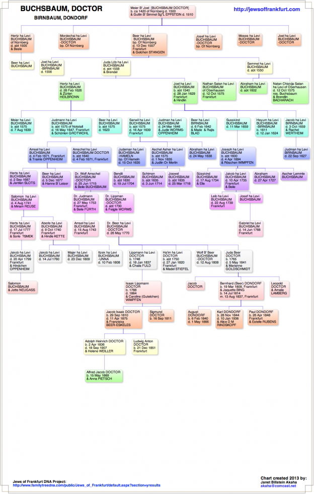 BUCHSBAUM, DOCTOR | Jews of Frankfurt